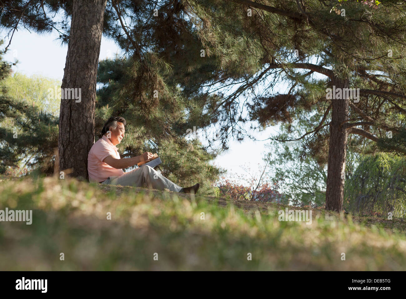 Senior man relaxing under a tree and reading a book in a park in the ...
