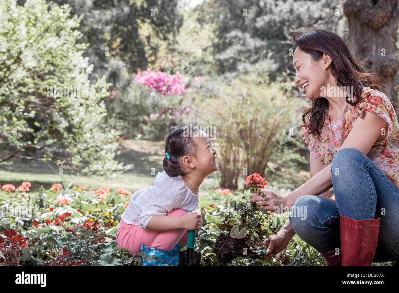 Mother and daughter planting flowers Stock Photo - Alamy