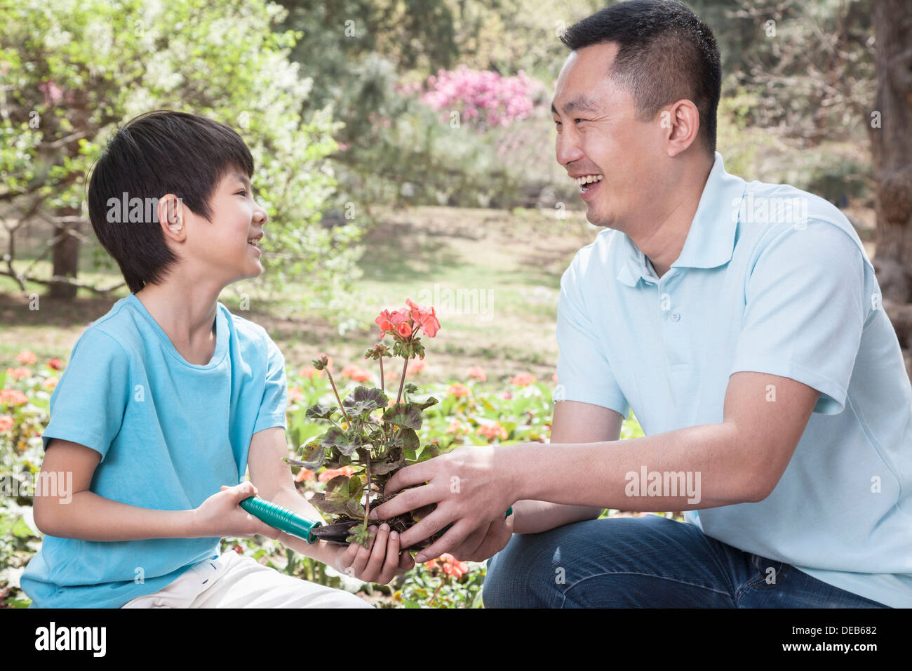 Father and son planting flowers Stock Photo - Alamy