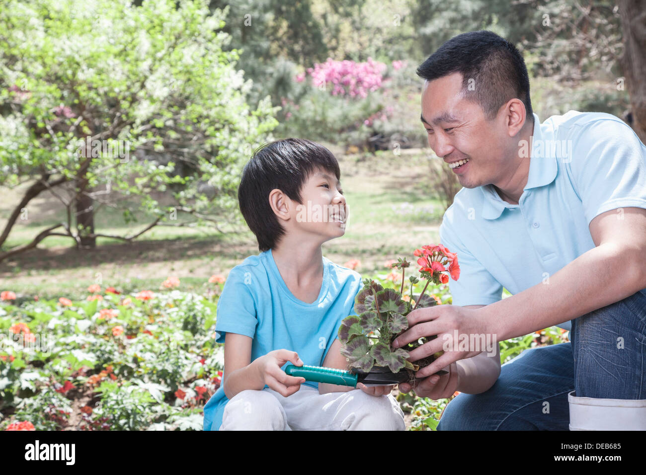 Father and son planting flowers Stock Photo - Alamy