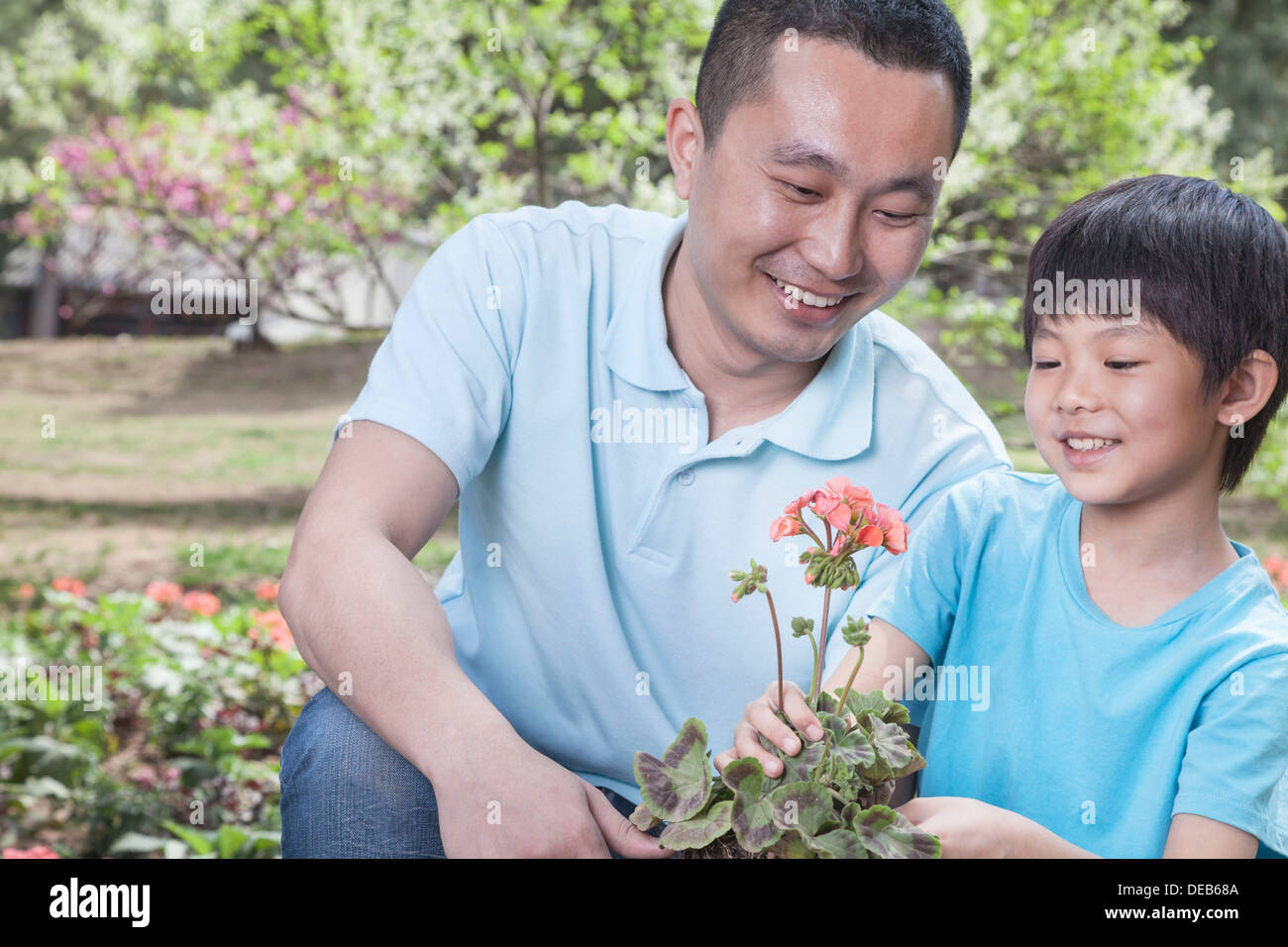 Father and son planting flowers Stock Photo - Alamy