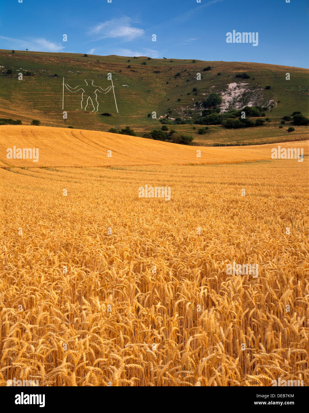 The ancient chalk figure of The Long Man of Wilmington, East Sussex, UK ...
