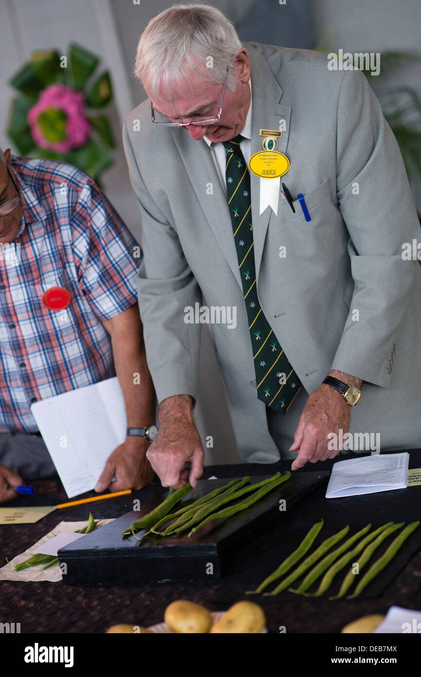 A man judging runner beans vegetables in the produce competition at the ...