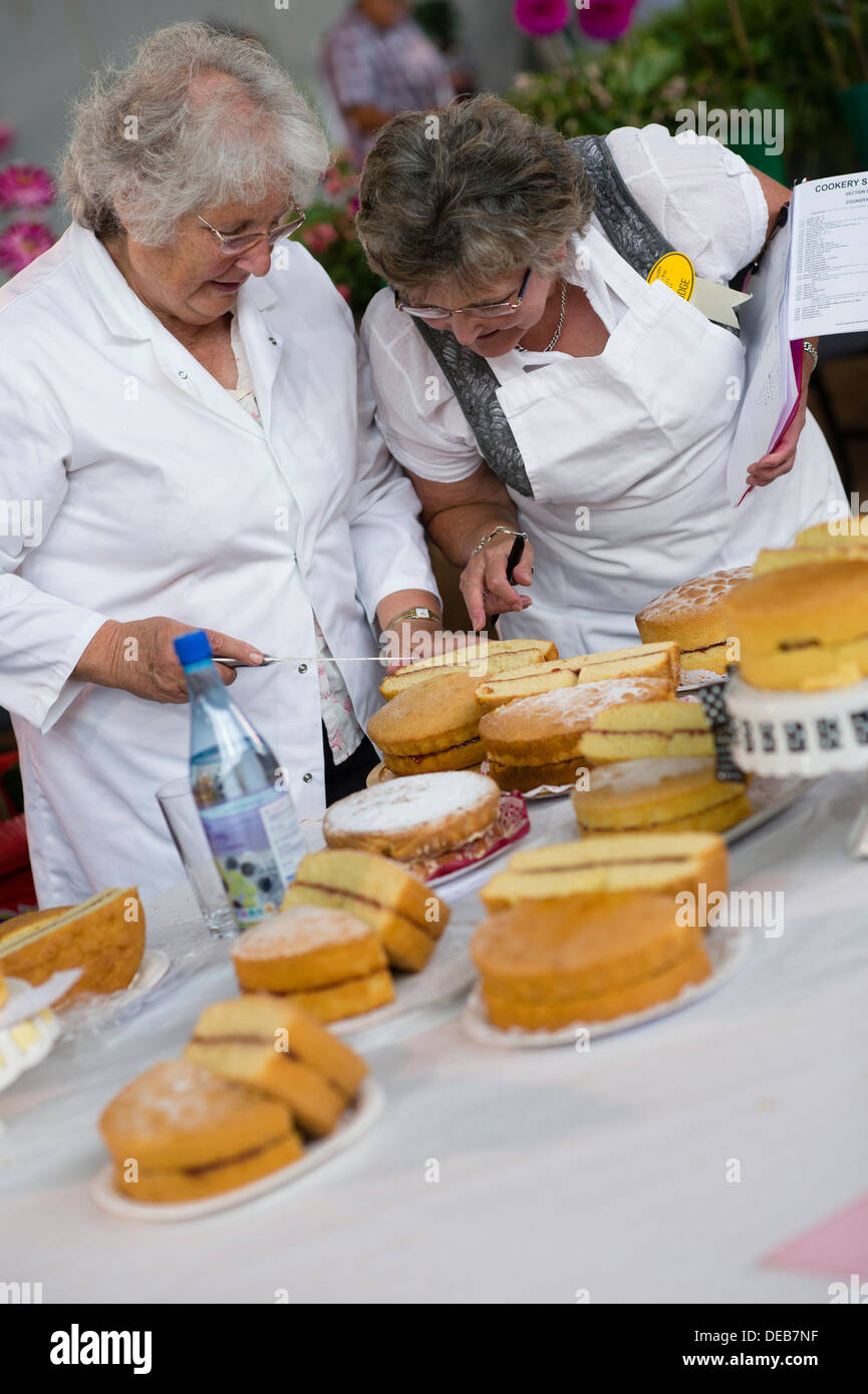 Women competition hi-res stock photography and images - Alamy