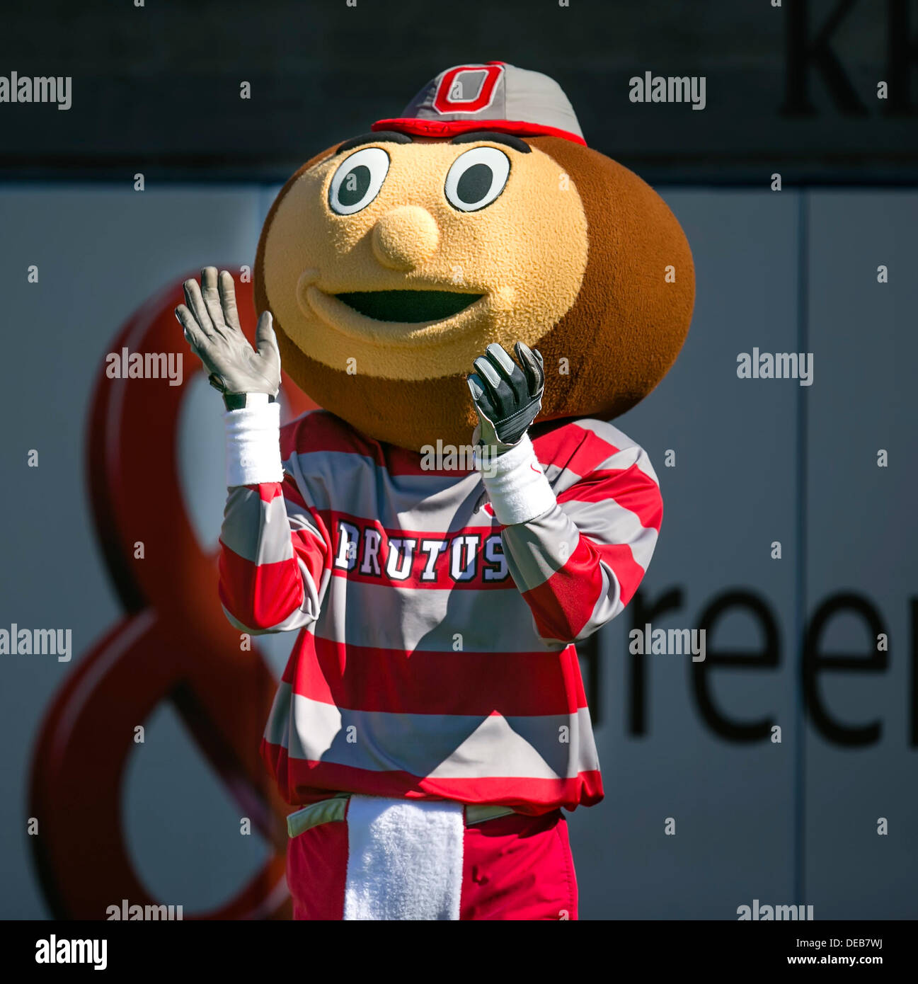 Buckeyes mascot hi-res stock photography and images - Alamy
