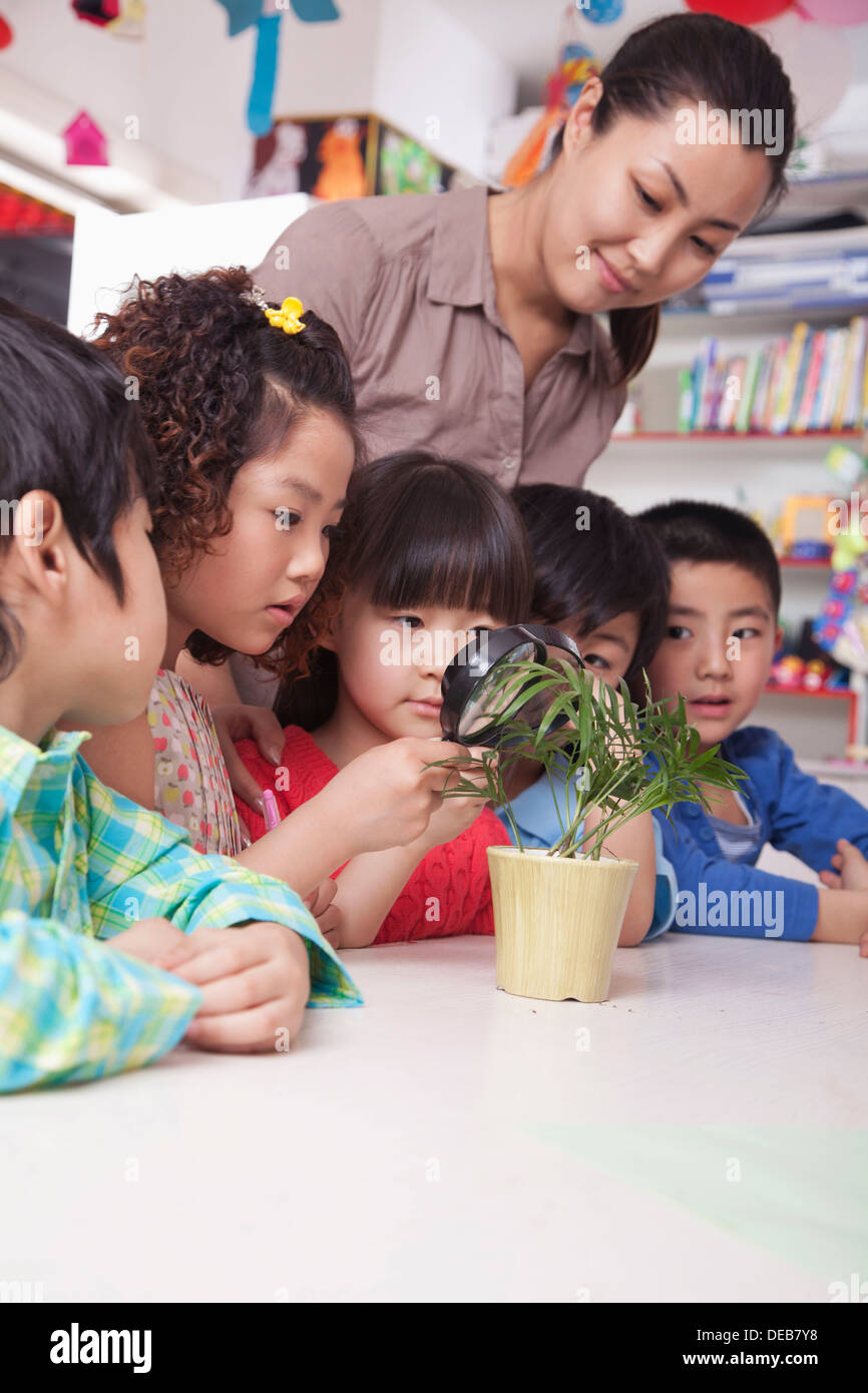 Students Looking at Plant with a Magnifying Glass Stock Photo - Alamy