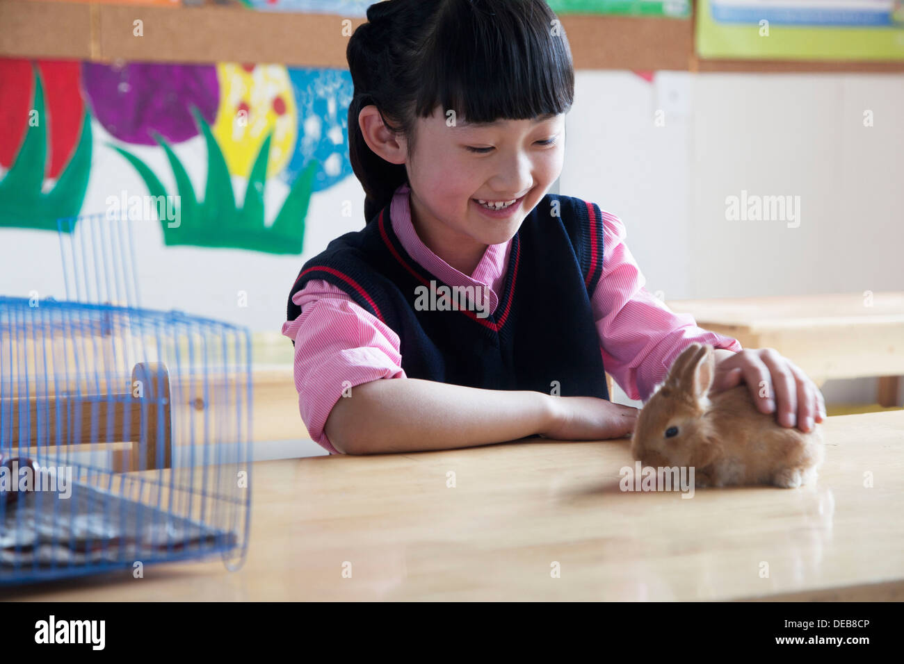 Classroom pet hi-res stock photography and images - Alamy