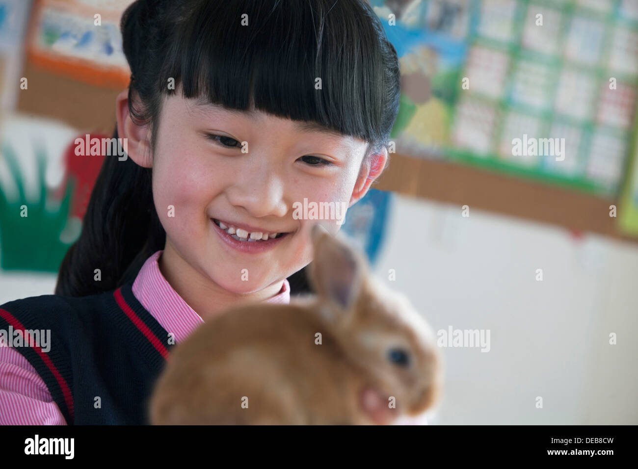 Schoolgirl holding pet rabbit in classroom Stock Photo - Alamy