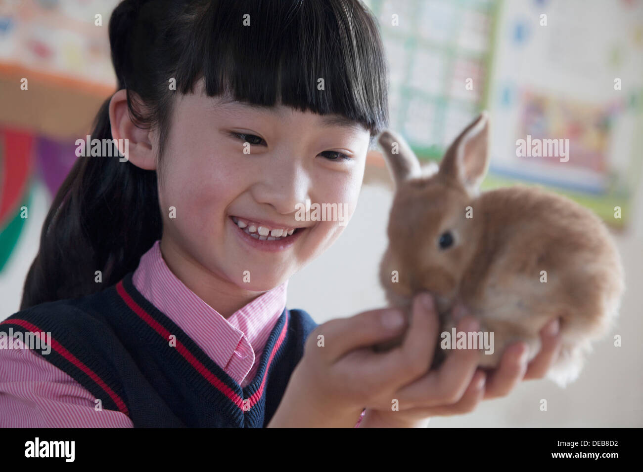 Classroom pets hi-res stock photography and images - Alamy