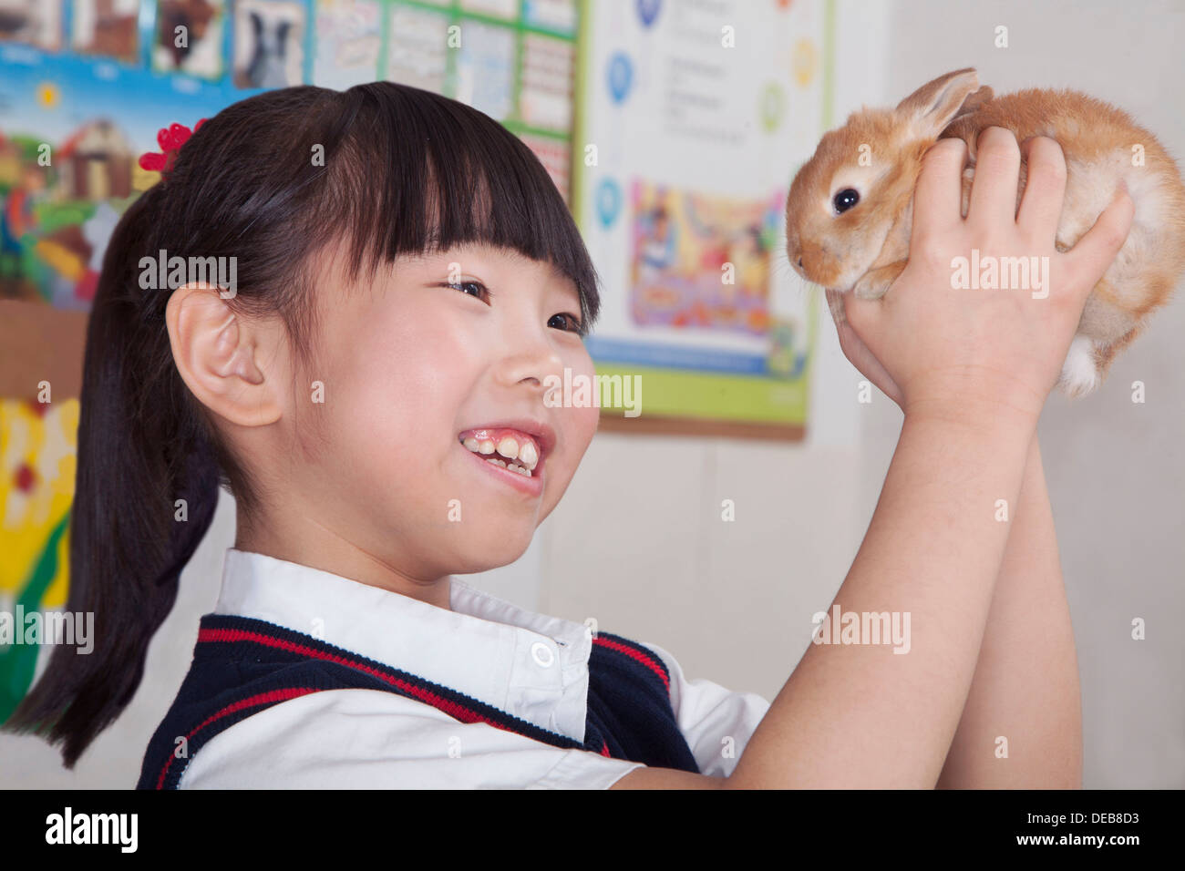 Schoolgirl holding pet rabbit in classroom Stock Photo - Alamy