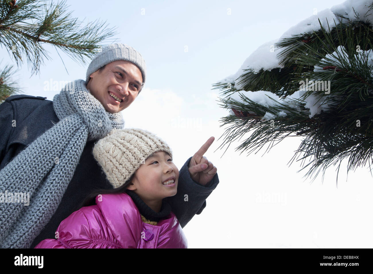Father with daughter pointing at tree branch covered in snow Stock ...