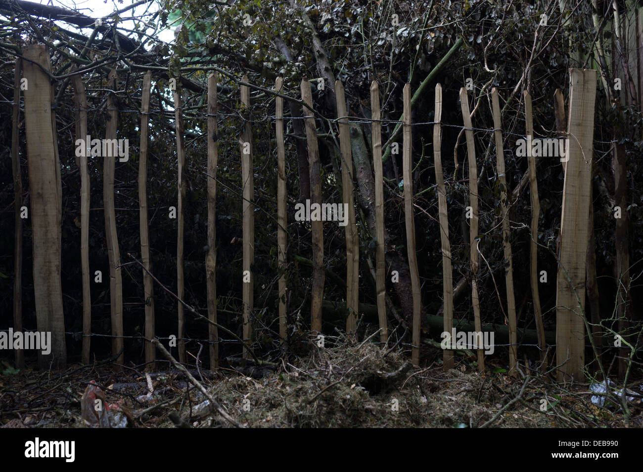 outside stick fence chopped down trees barricade Stock Photo - Alamy