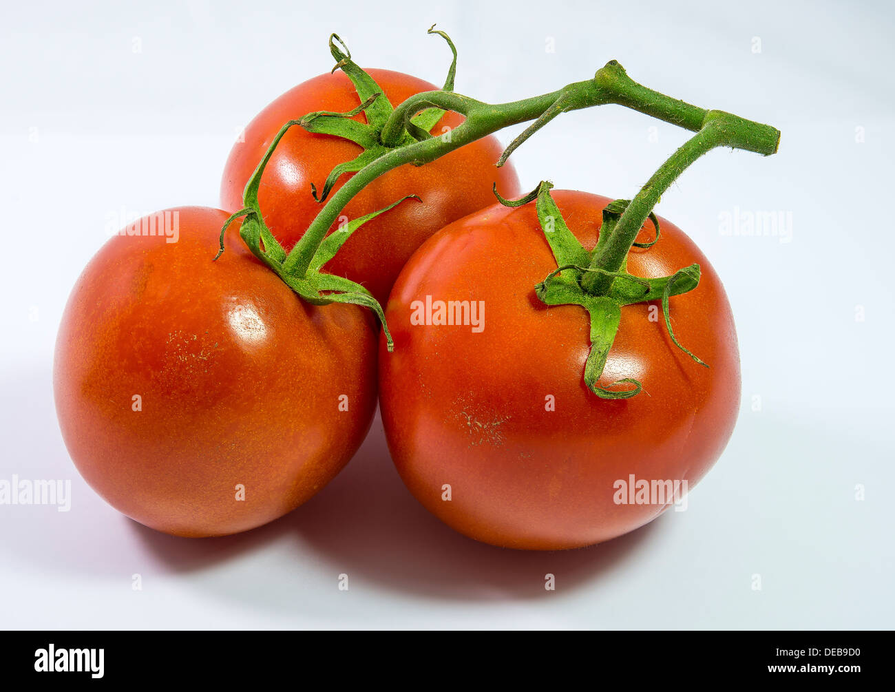 Fruit truss hi-res stock photography and images - Alamy