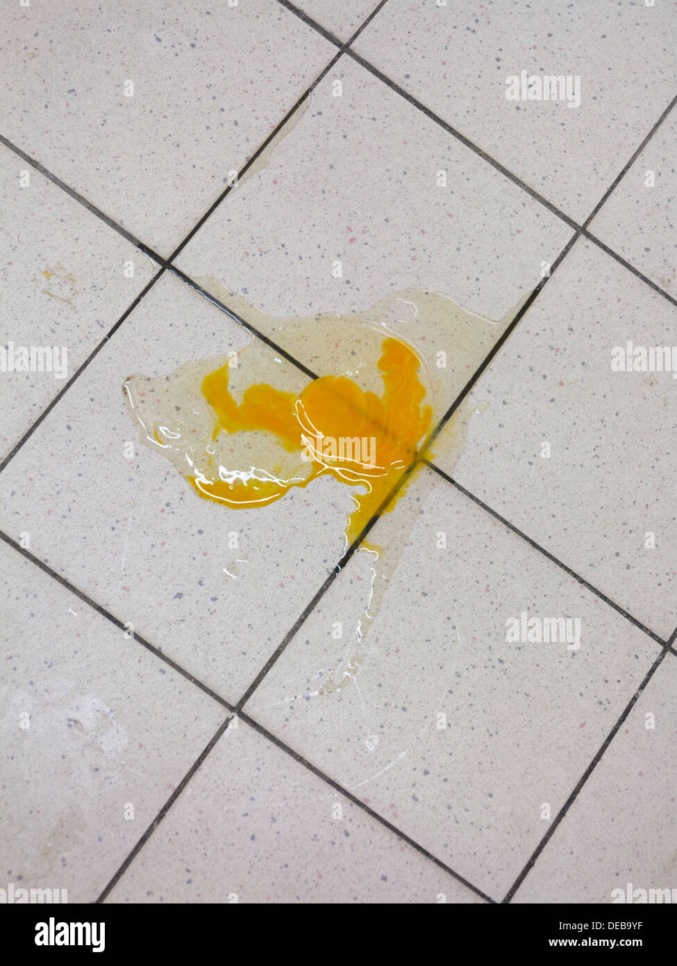Broken egg on the tile kitchen floor. Accident in the kitchen Stock ...