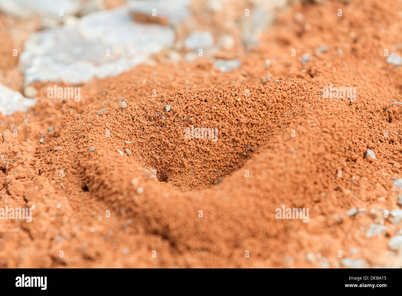 Anthill ant hi-res stock photography and images - Alamy