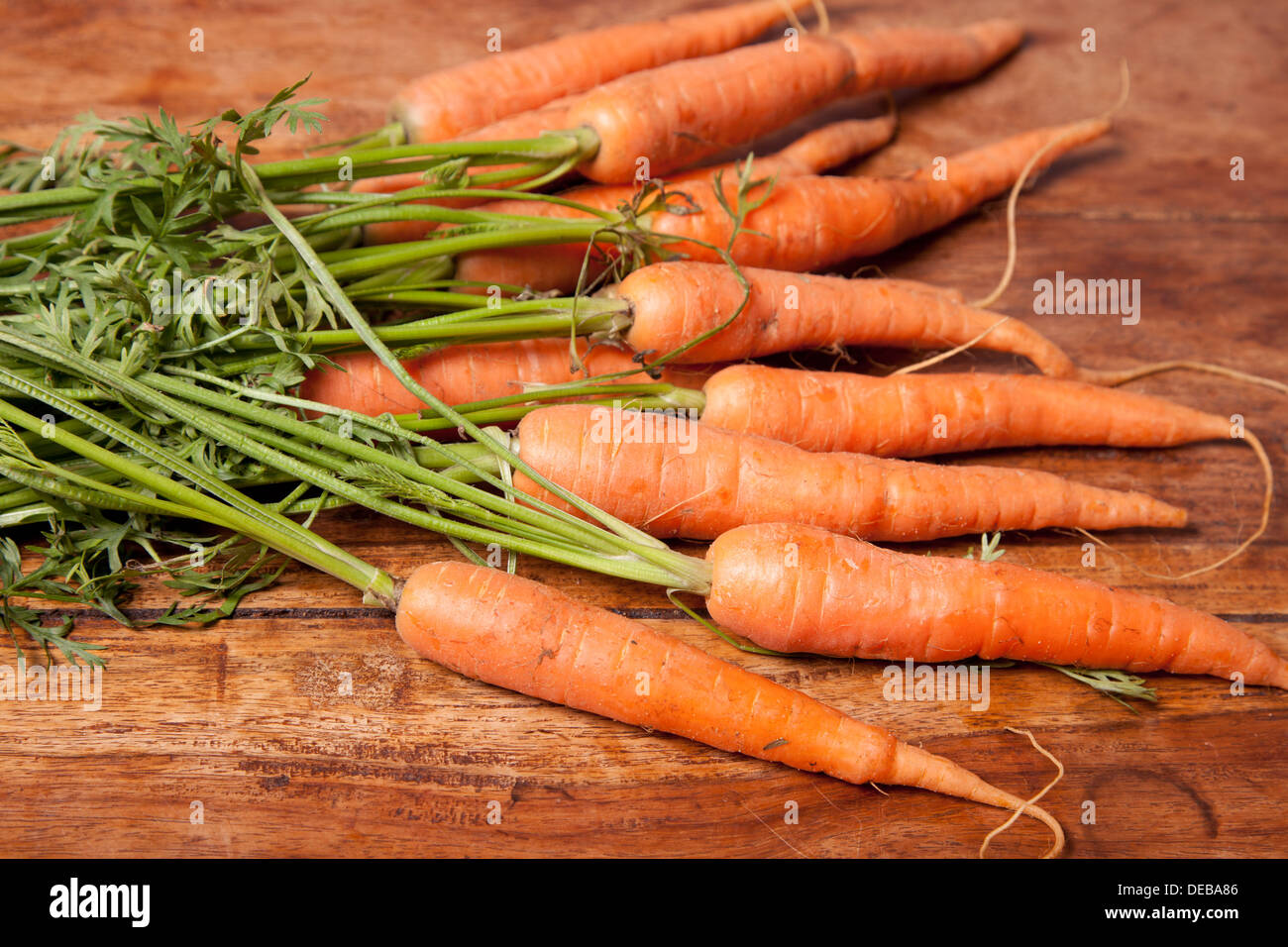 Carrots Loose