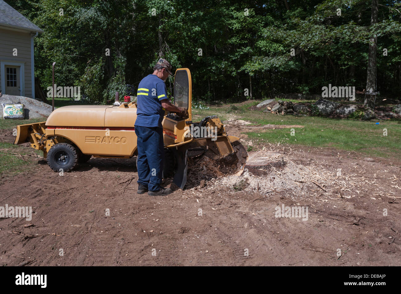 A man using a Rayco model Super RG50 4X4 Stump Grinder to remove a tree ...
