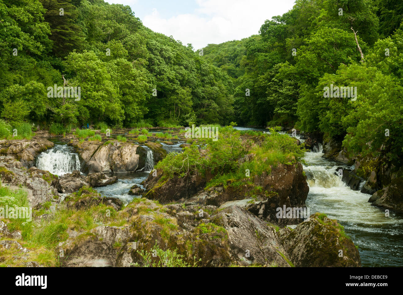 Cenarth Falls, Cenarth, Ceredigion, Wales Stock Photo - Alamy