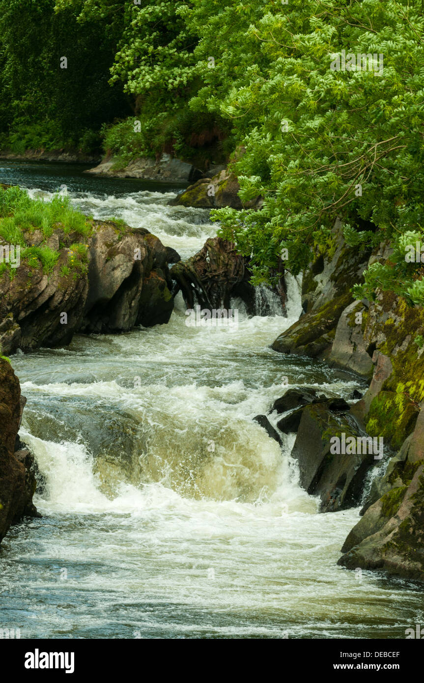 Cenarth Stock Photos & Cenarth Stock Images - Alamy