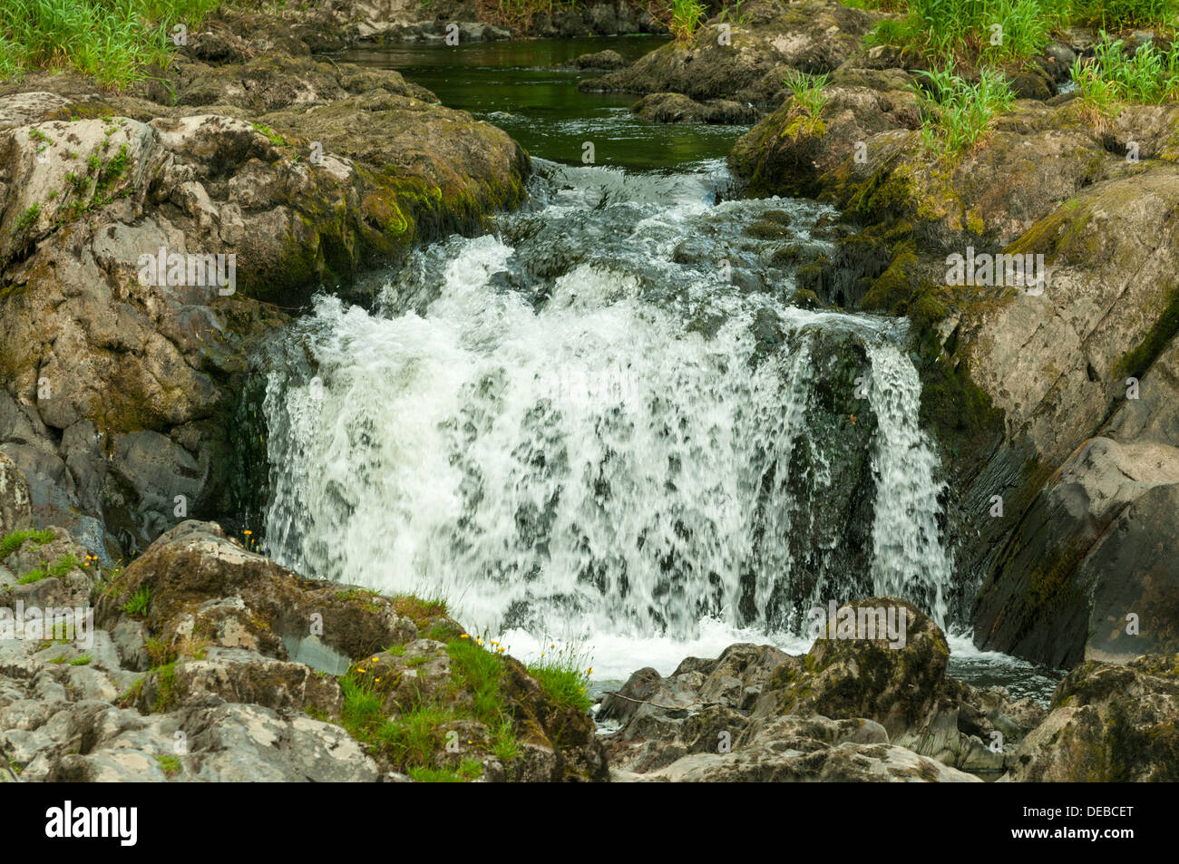 Cenarth Stock Photos & Cenarth Stock Images - Alamy