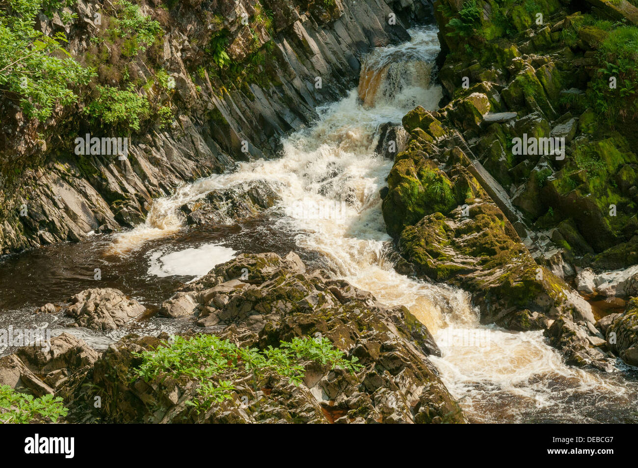 Conwy Falls High Resolution Stock Photography and Images - Alamy