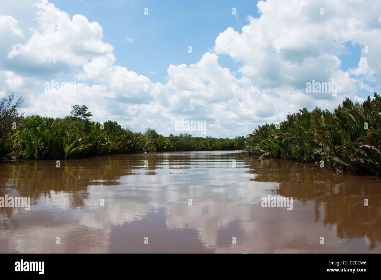 Kumai River River Boat High Resolution Stock Photography and Images - Alamy