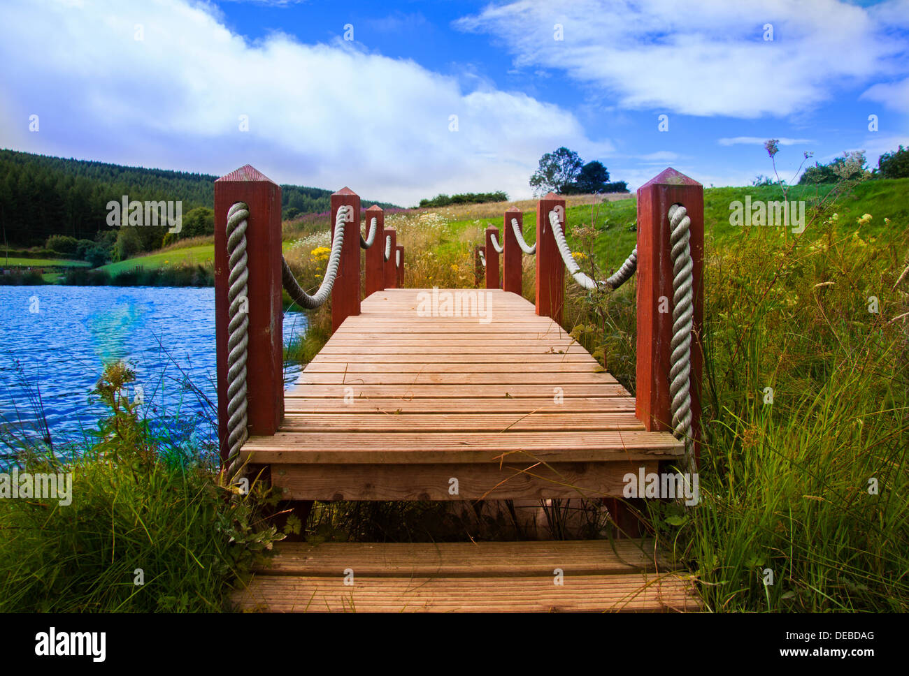 wooden slatted bridge with ropes over a fishing pond. greenery, blue ...