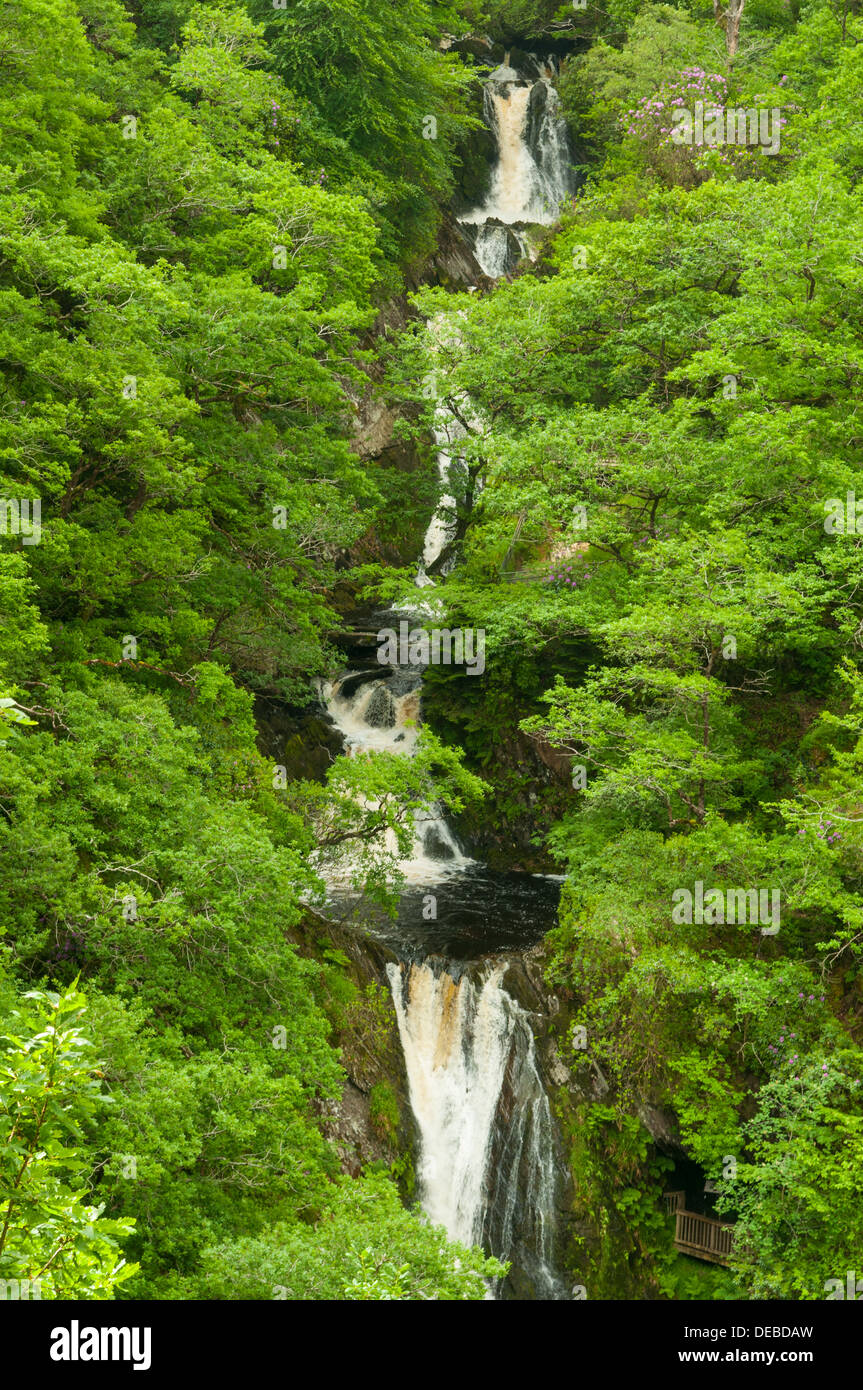 Mynach Falls, Devil's Bridge, Ceredigion, Wales Stock Photo - Alamy