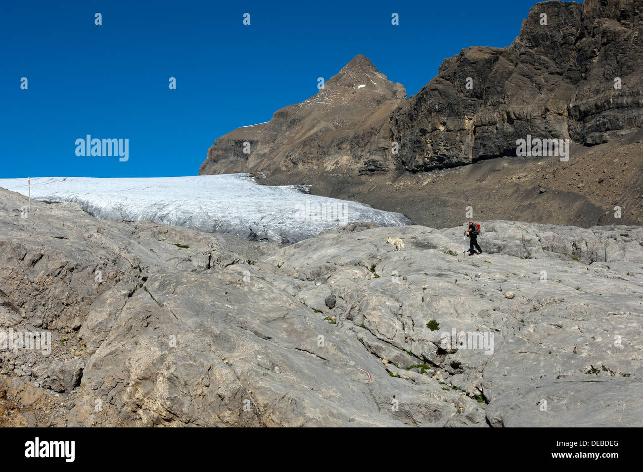 Tsanfleuron hi-res stock photography and images - Alamy