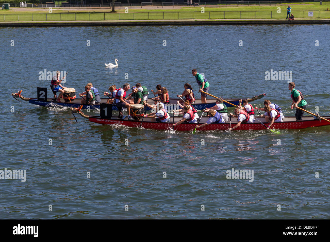 England Oxfordshire Henley, Dragon boat race on river Thames Stock ...