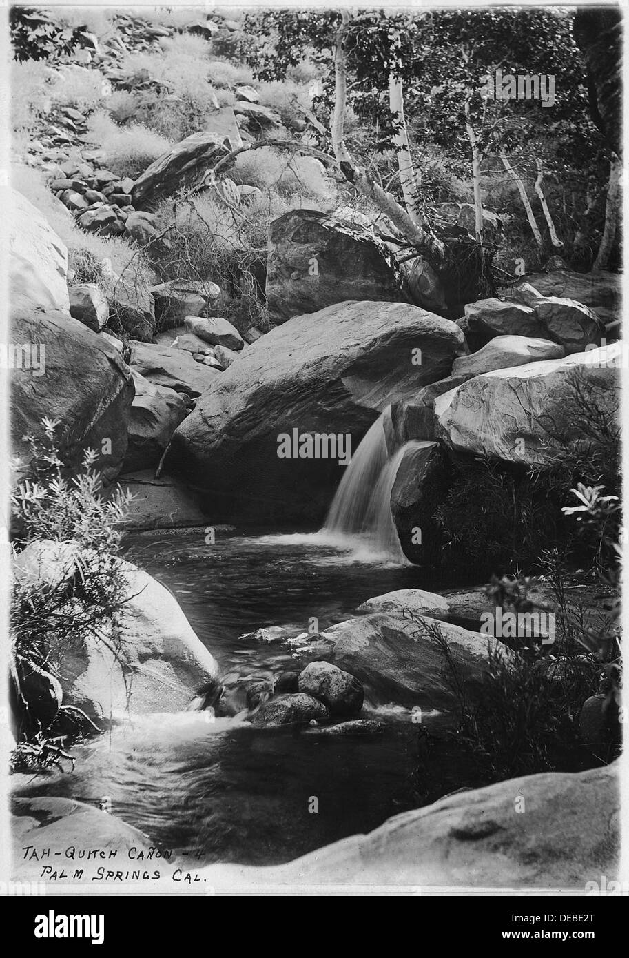 Quitch hi-res stock photography and images - Alamy