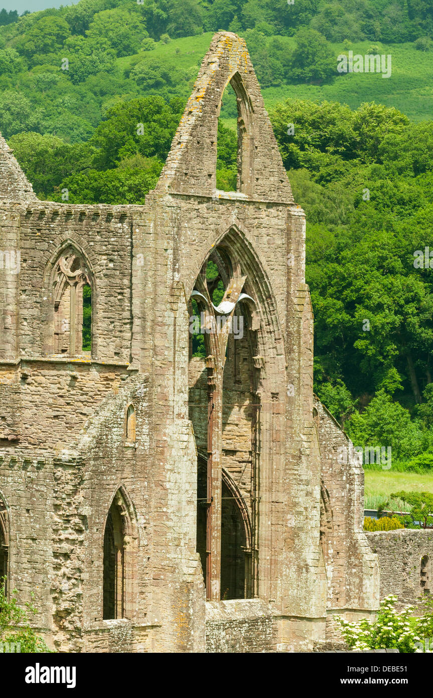 Tintern Abbey, Monmouthshire, Wales Stock Photo - Alamy