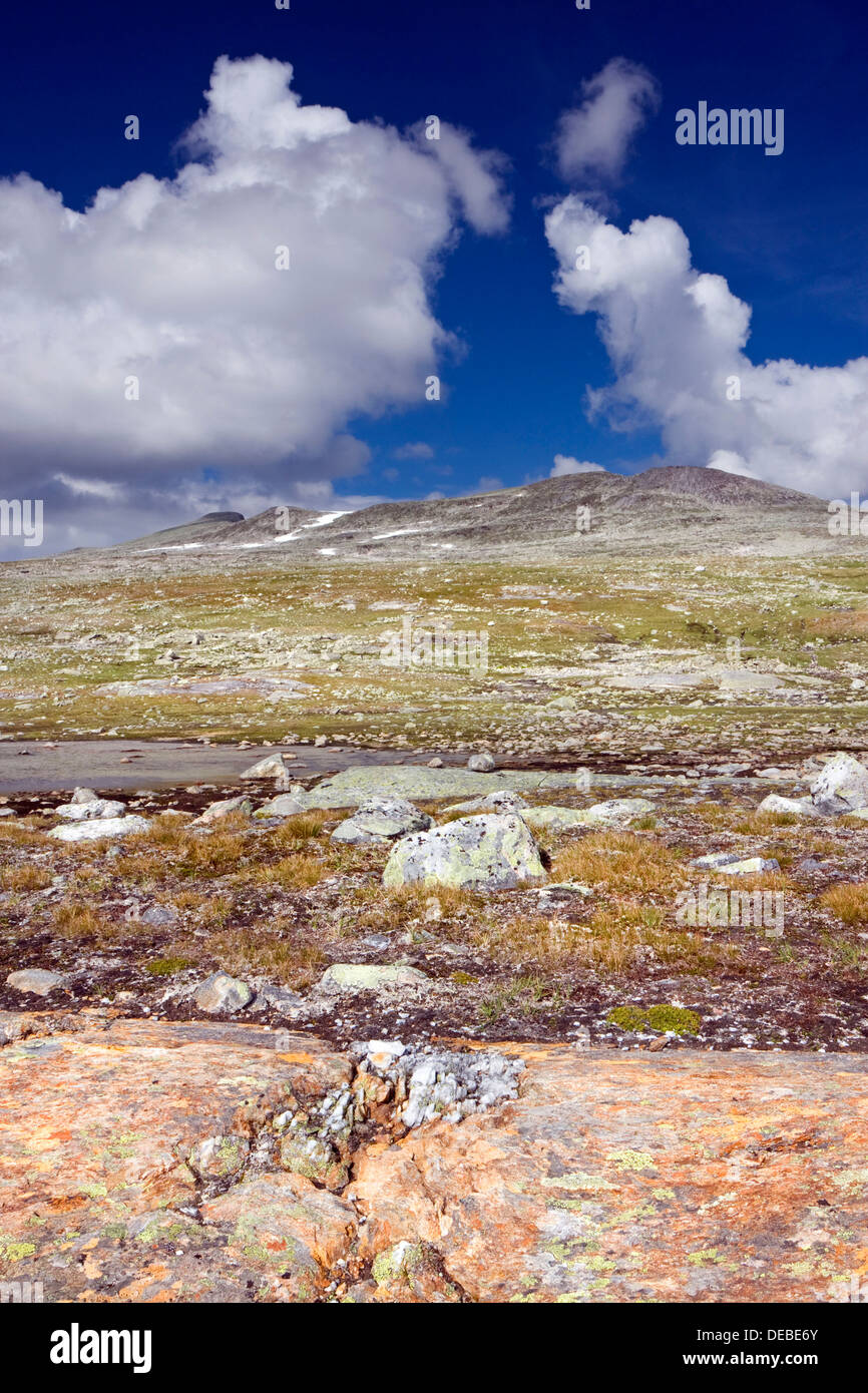 Saltfjellet mountain range hi-res stock photography and images - Alamy