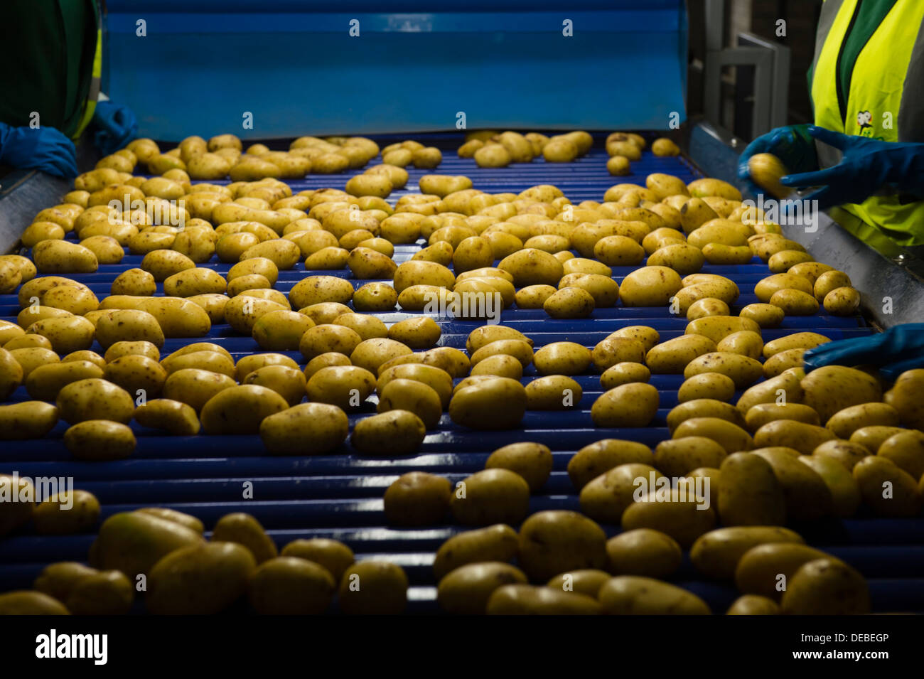 Women factory workers uk hi-res stock photography and images - Alamy
