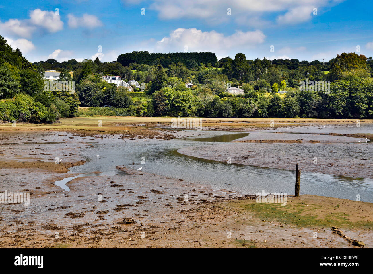 Devoran; Carnon River; Cornwall; UK Stock Photo - Alamy