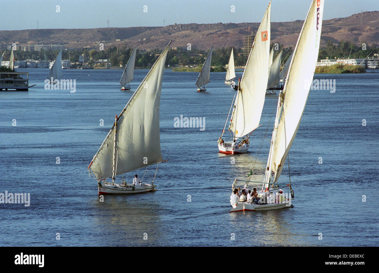 The traditional feluka Egyptian sailing boats on the River Nile at ...
