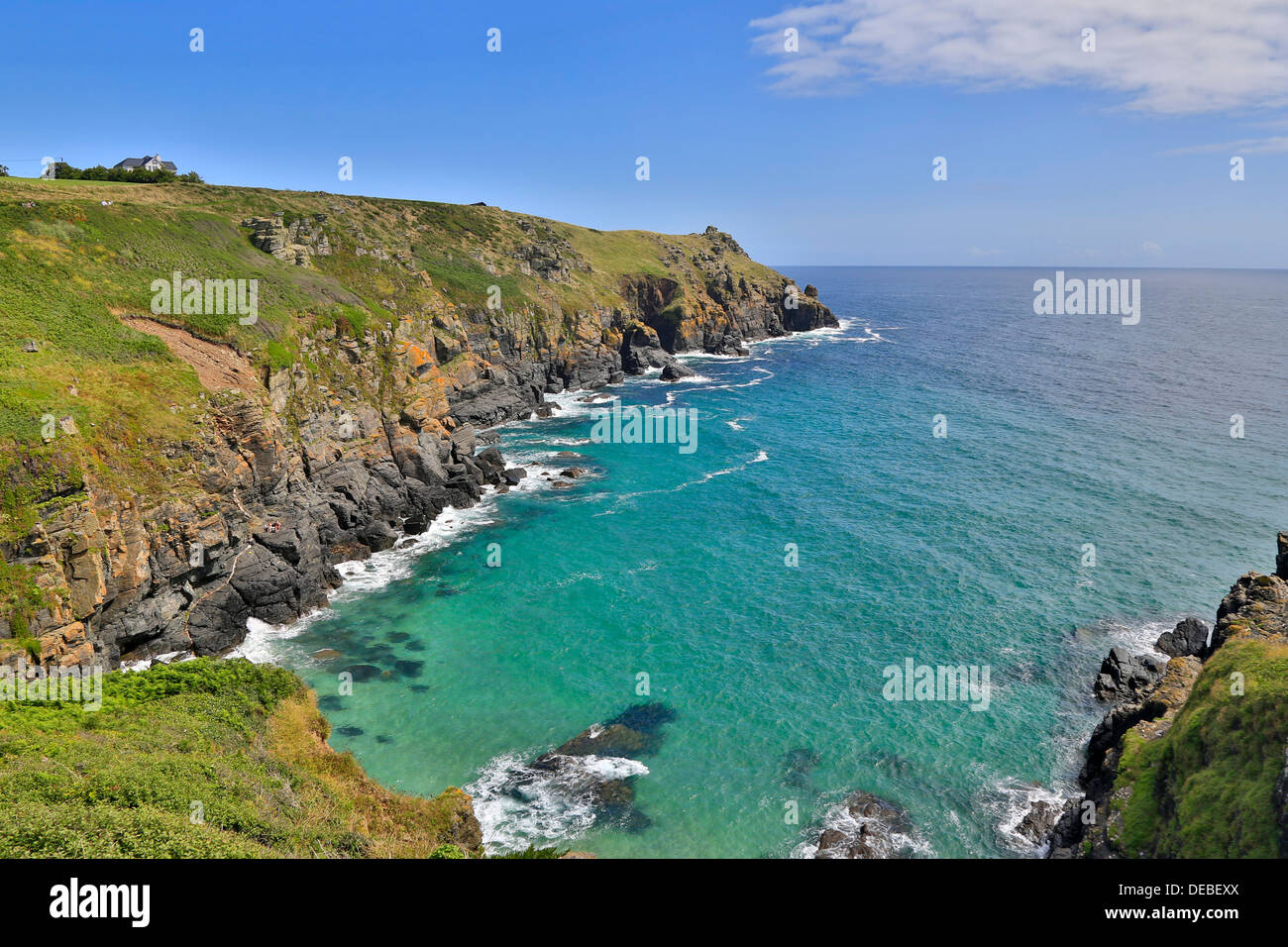 Lizard bay hi-res stock photography and images - Alamy