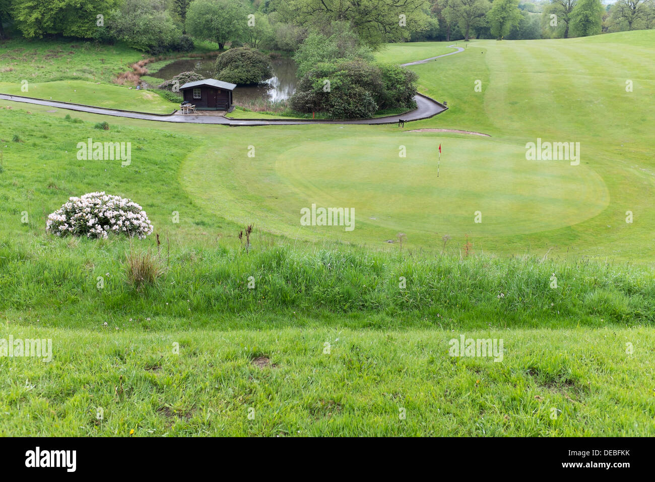Barcelo shrigley hall hotel golf hi-res stock photography and images ...
