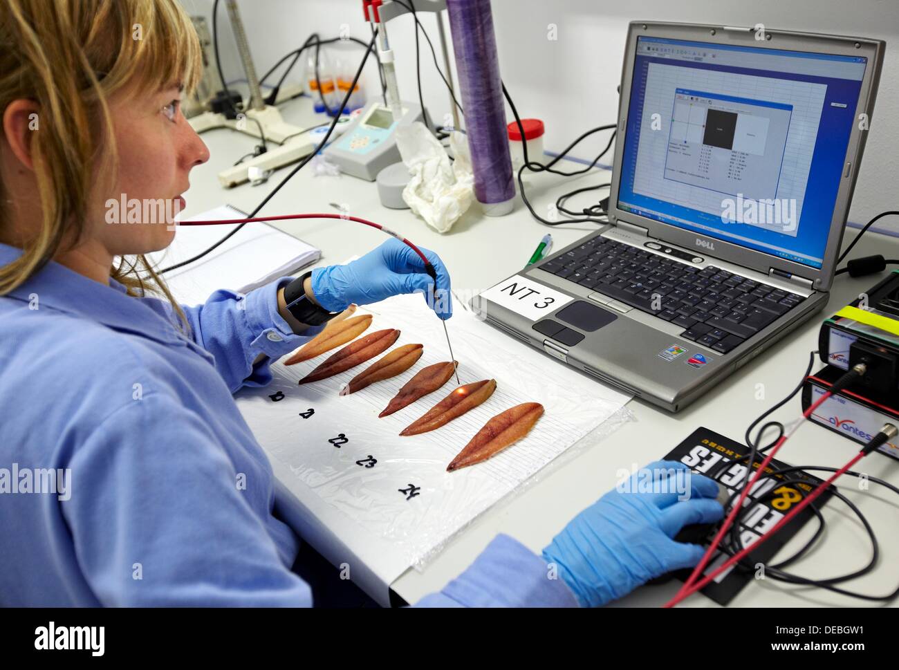 Azti tecnalia hi-res stock photography and images - Alamy