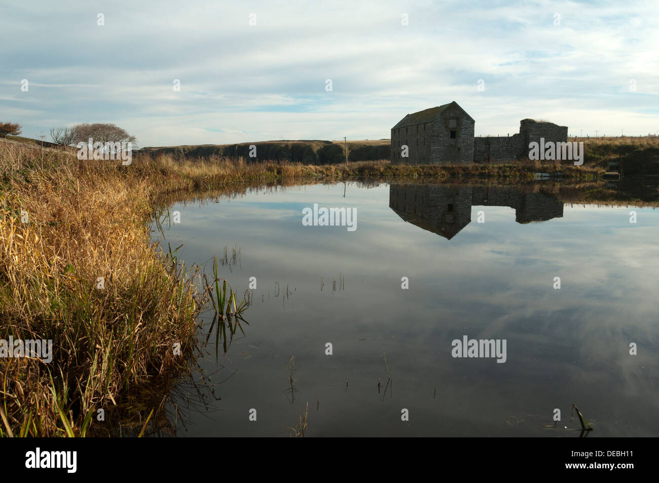 Ham Mill over the millpond. Also called the Ham Girnal. Ham, near ...