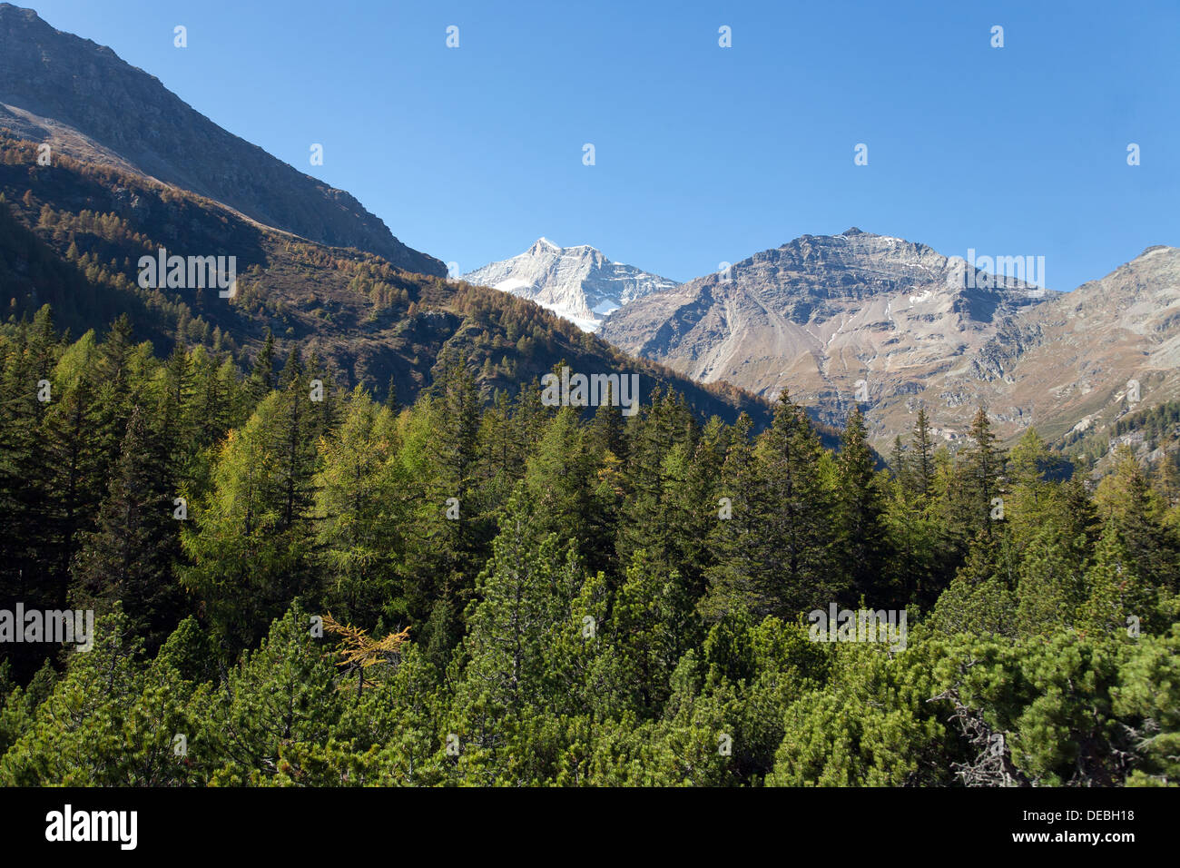 Cavaglia level, Switzerland, view to Poschiavo Valley Stock Photo - Alamy