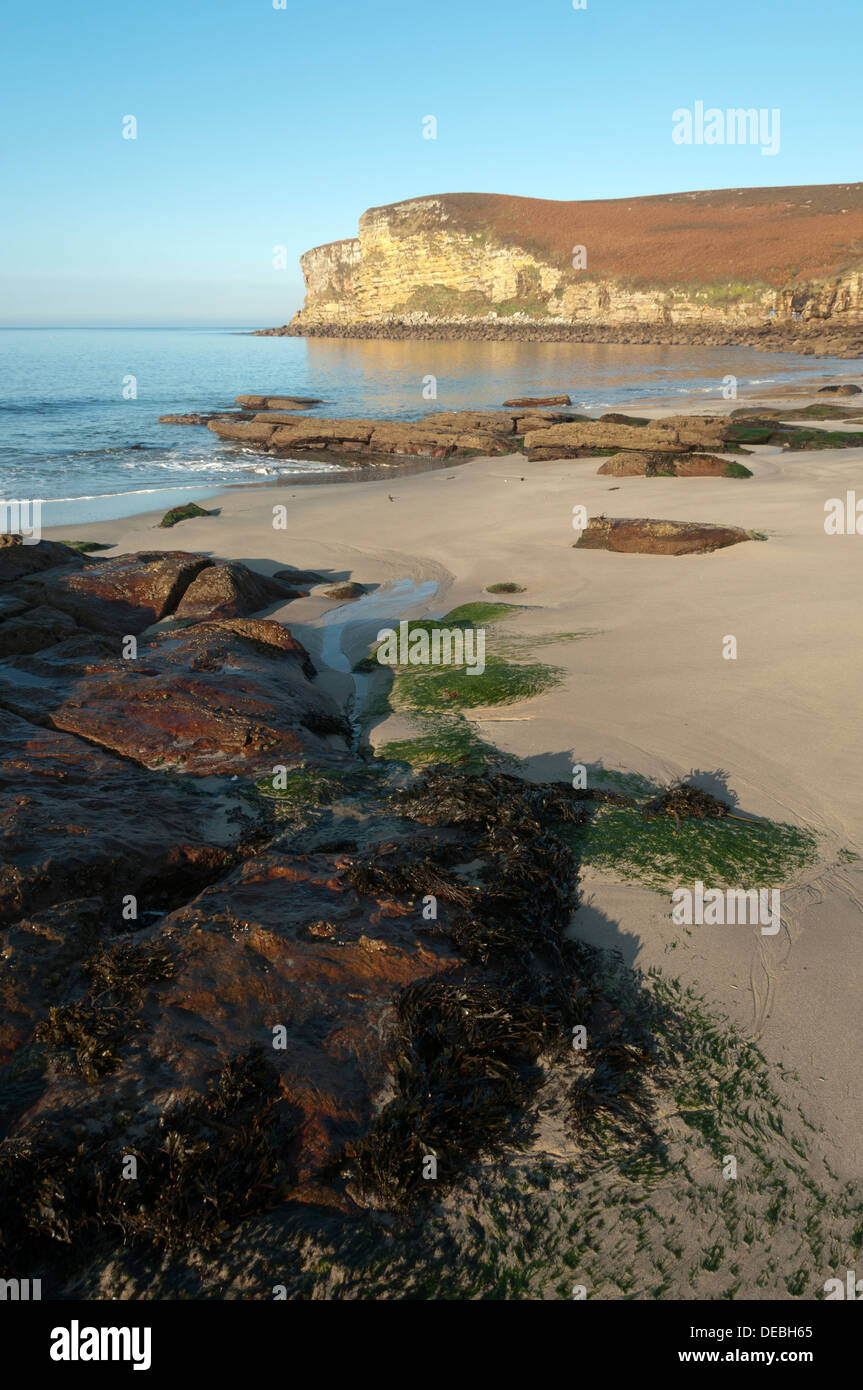 Dunnet beach hi-res stock photography and images - Alamy