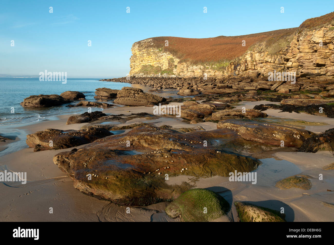 Dunnet Beach High Resolution Stock Photography and Images - Alamy