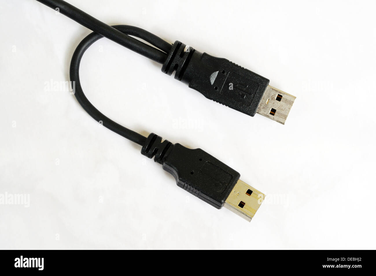 Twin USB plugs against a white background Stock Photo - Alamy