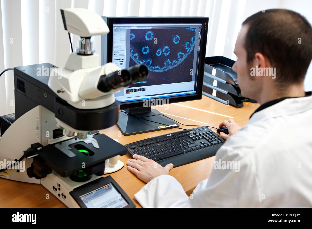Fluorescence microscope hi-res stock photography and images - Alamy