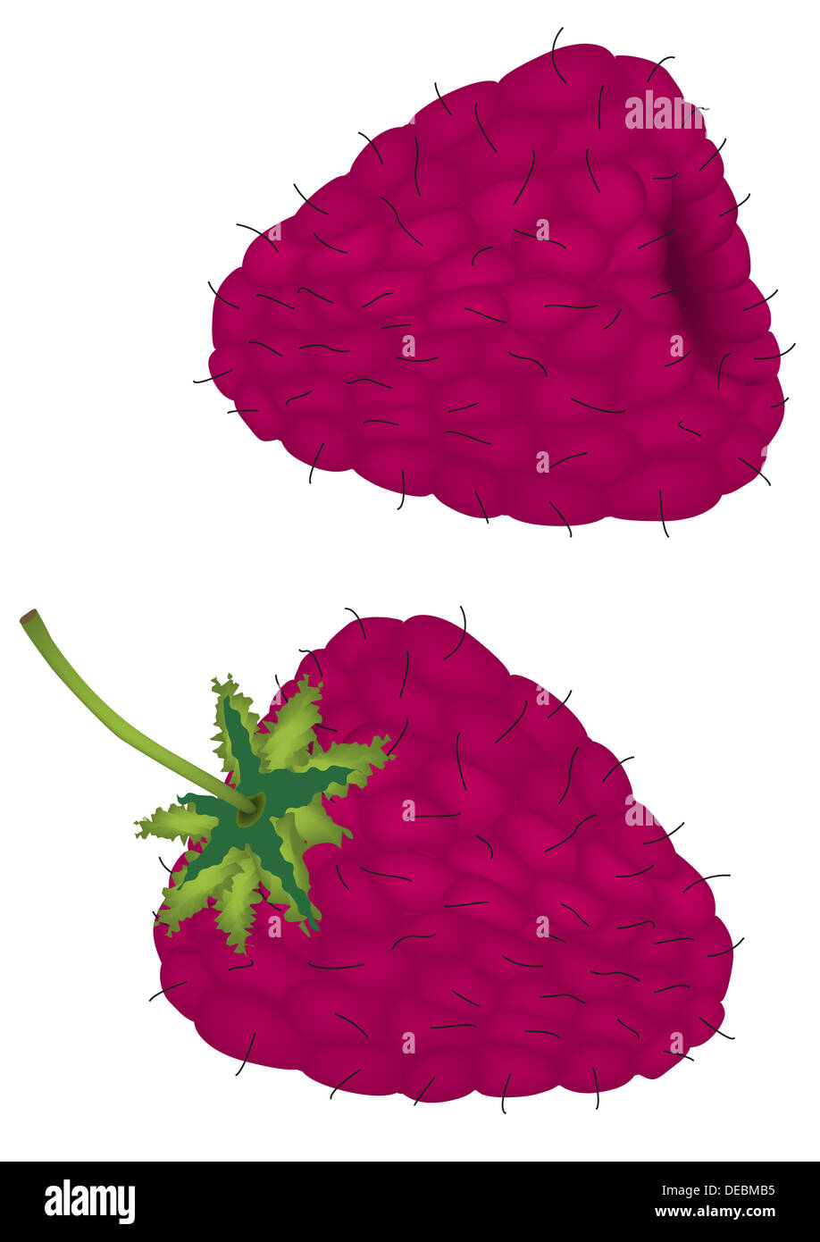 Raspberry clipart Cut Out Stock Images & Pictures - Alamy