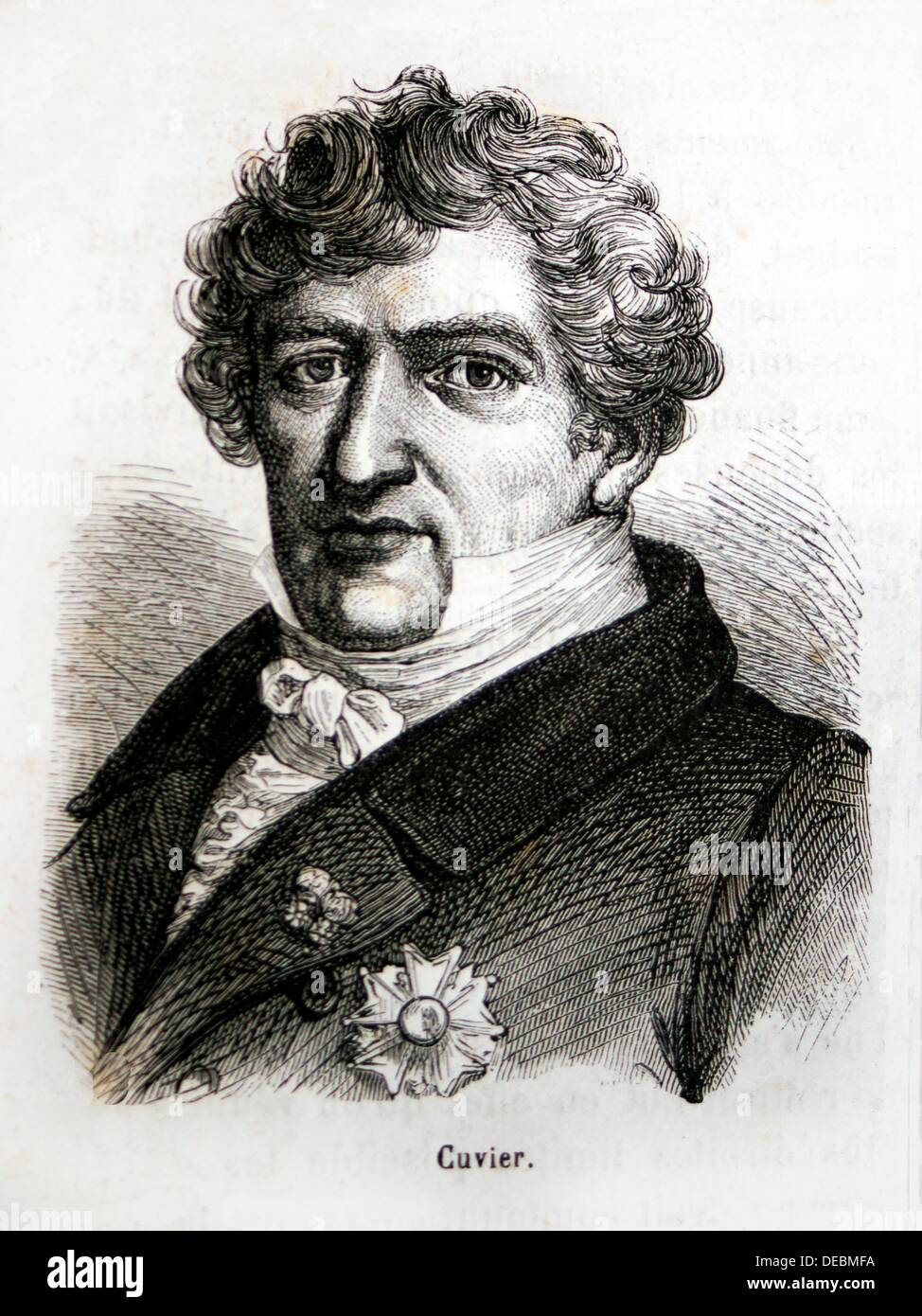 Cuvier Stock Photos & Cuvier Stock Images - Alamy