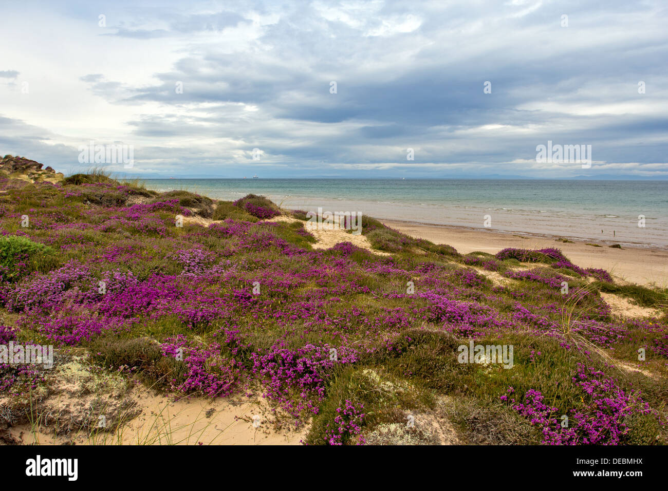 Heather sand hi-res stock photography and images - Alamy