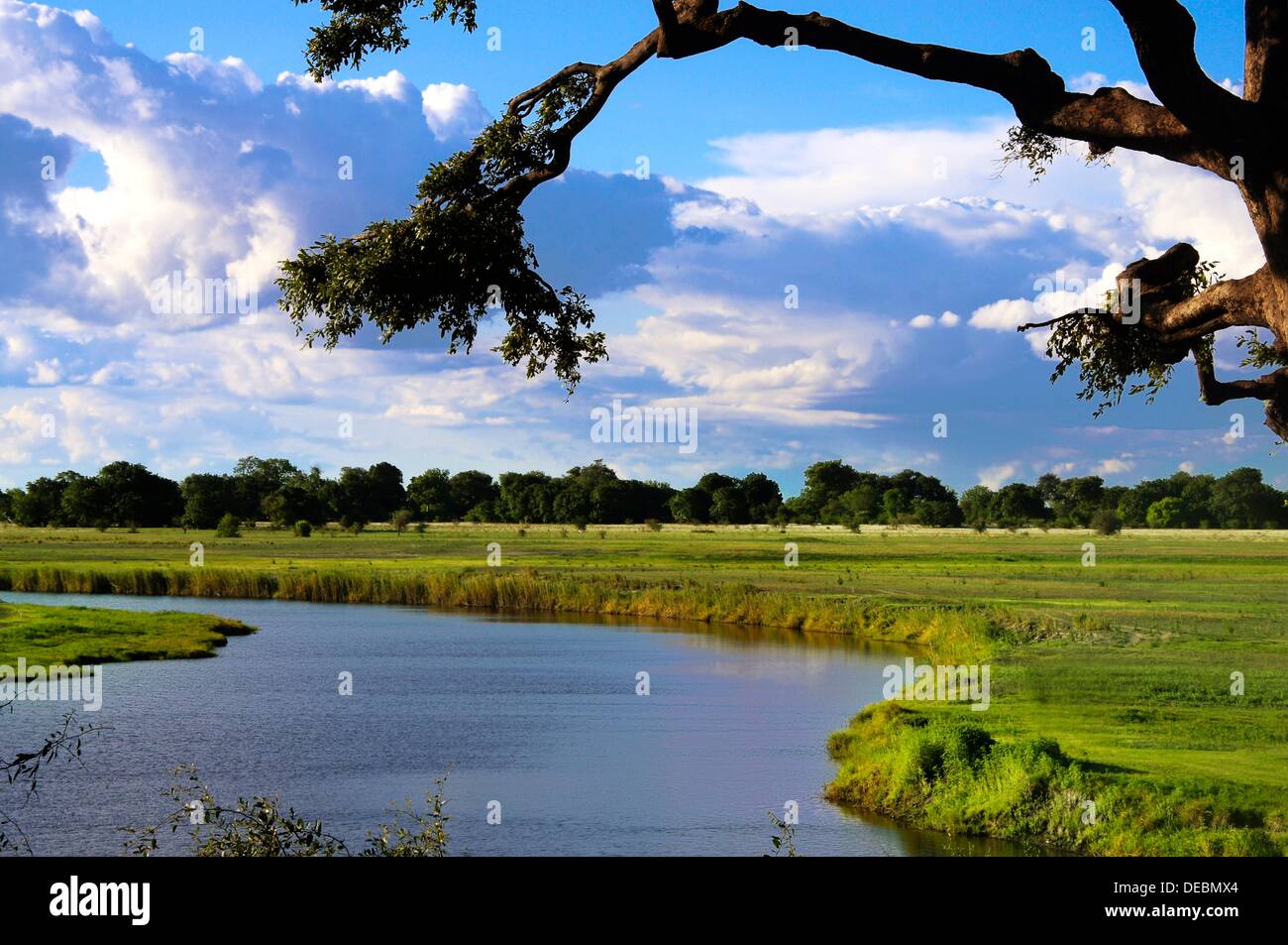 Botswana namibia border hi-res stock photography and images - Alamy
