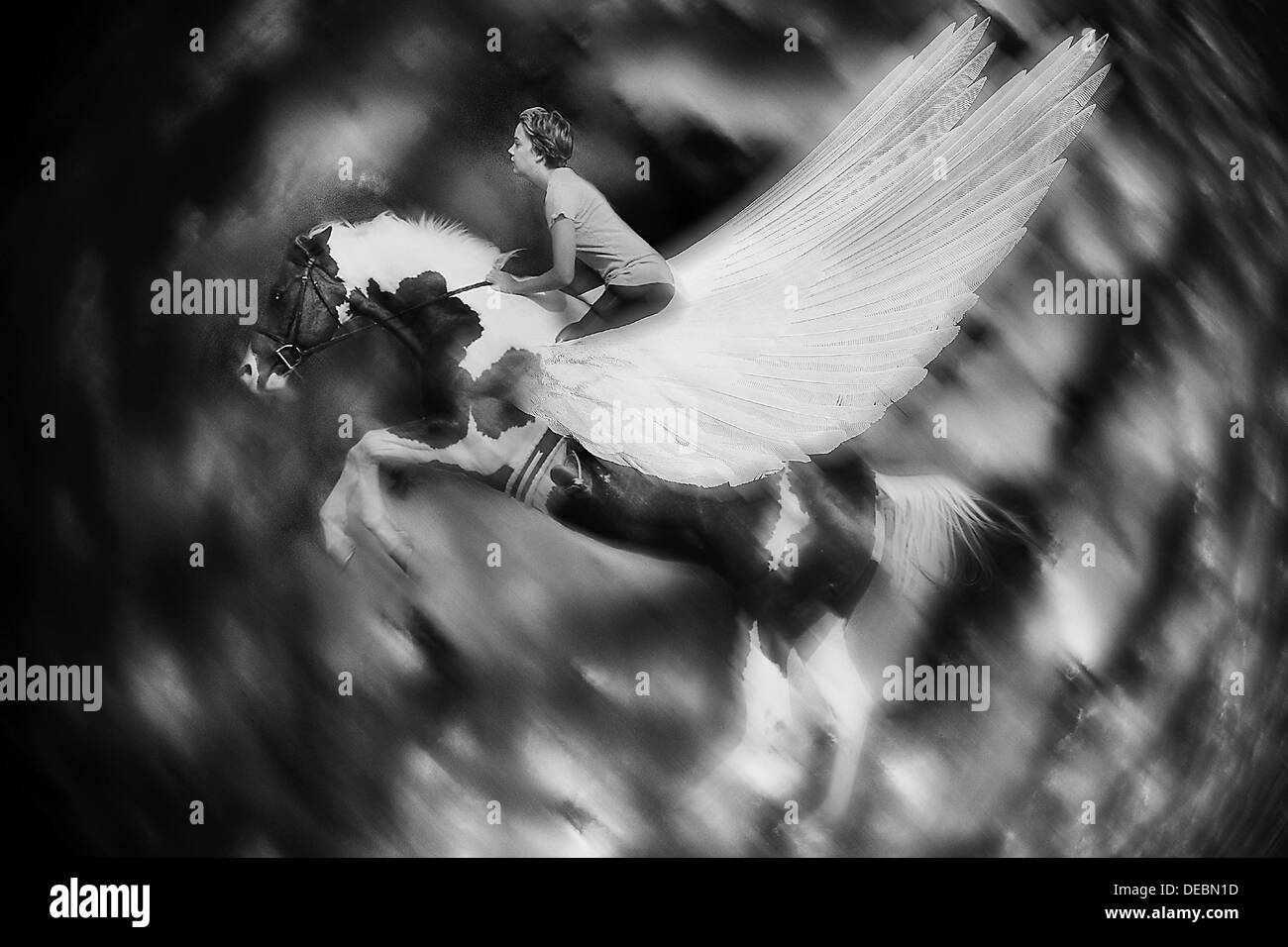 Winged horse of greek legend High Resolution Stock Photography and ...